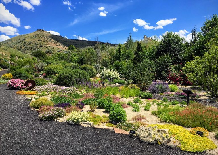 Creating a Fire-Resistant Landscape | Plant Select