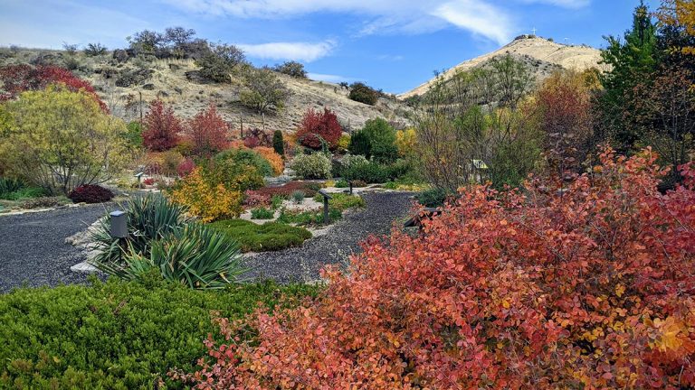 Creating a Fire-Resistant Landscape | Plant Select