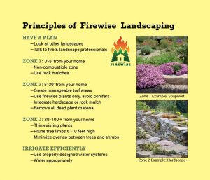 Creating a Fire-Resistant Landscape | Plant Select