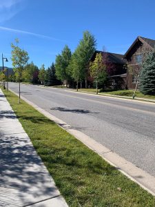 What Is Hydrozoning? And How It Helps You (and Your Plants)