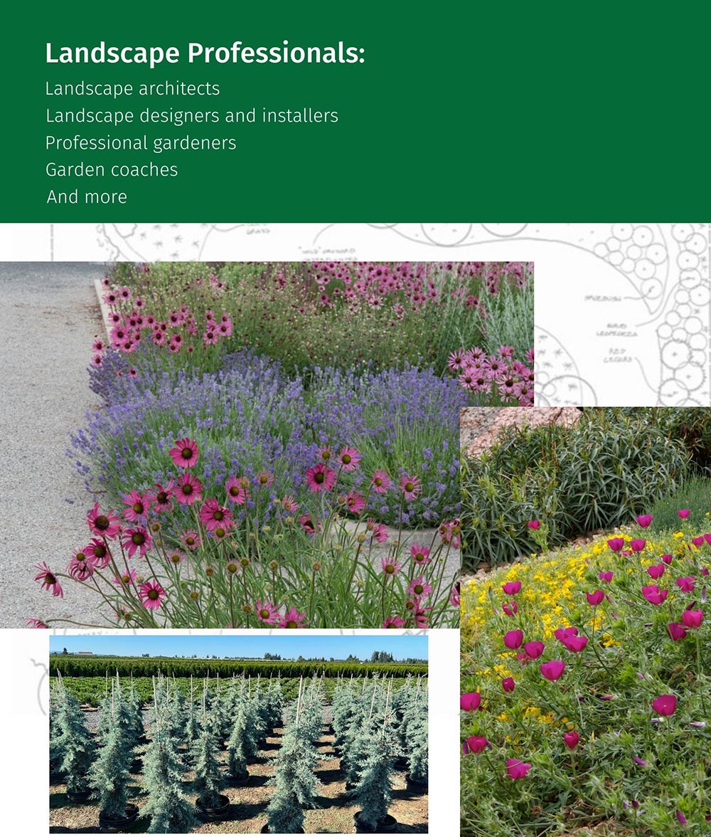 Plant Select Landscape Professional Membership | Become Member