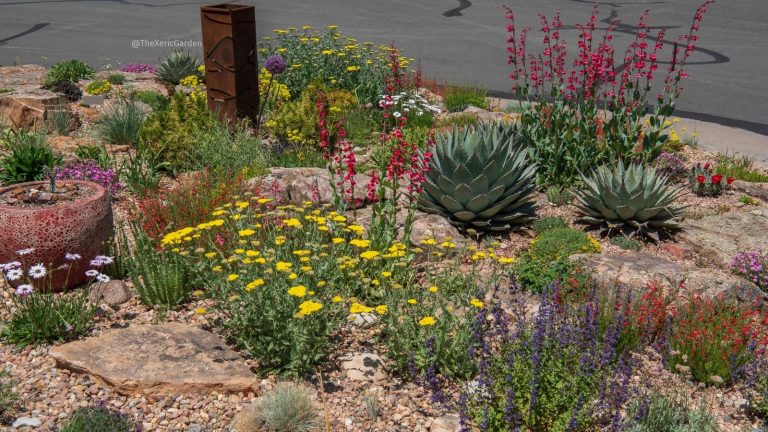 Creating a Xeric Garden in a Traditional HOA in ColoradoPlant Select